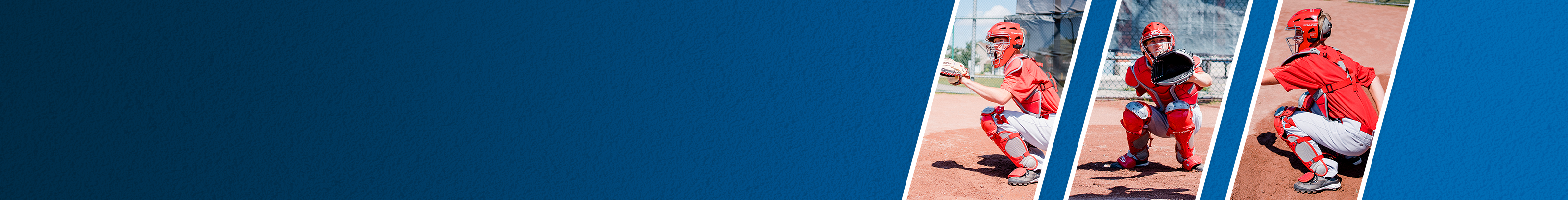 Catcher Leg Guards – Houle Sports Excellence