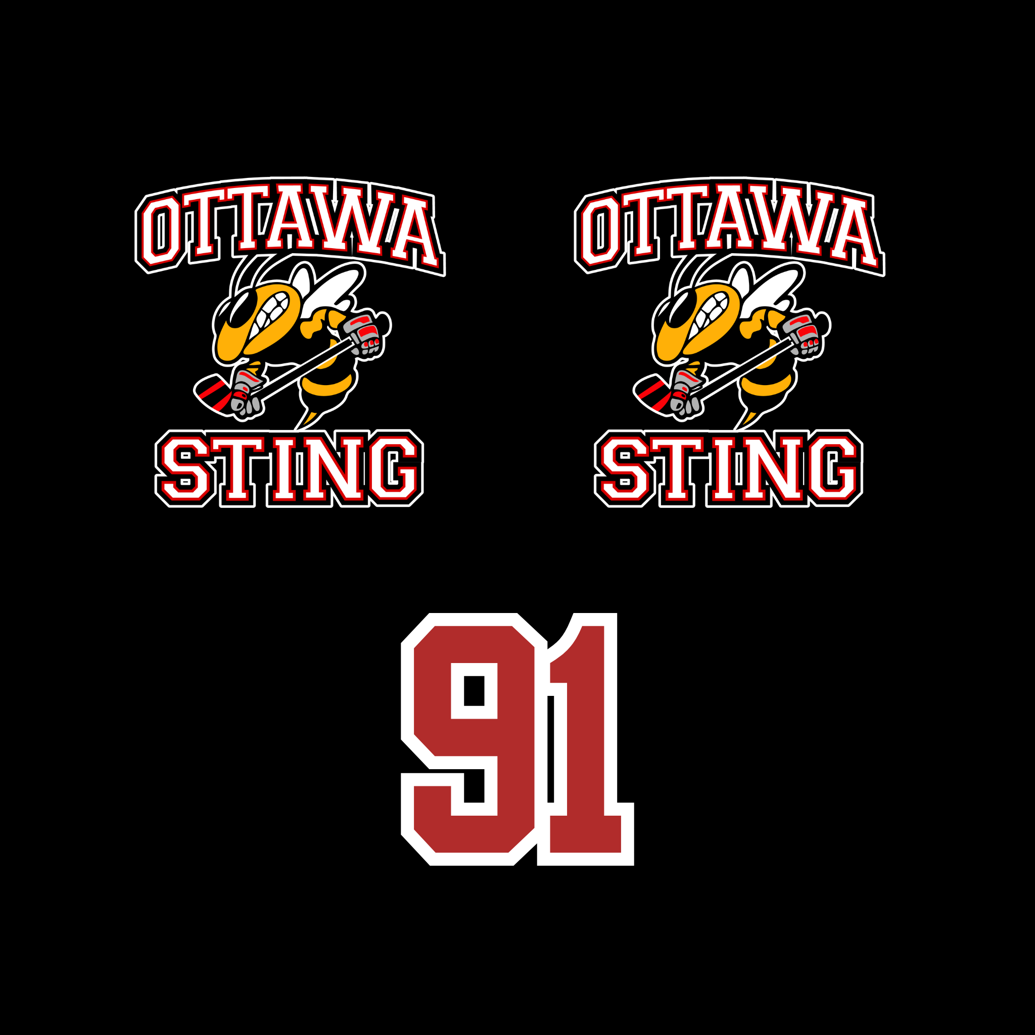 OTTAWA STING HELMET STICKERS INCLUDES 2 LOGOS AND 1 NUMBER – Houle ...